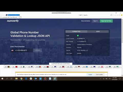 RPA assigment 2 phone number validator
