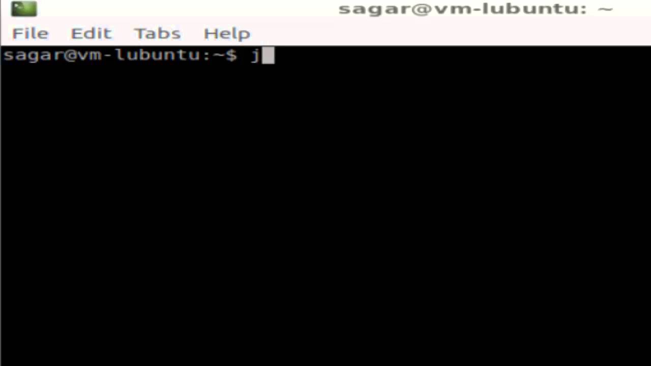 How to view java version in Linux