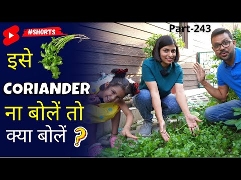 इसे Coriander न बोलें तो क्या बोलें? ~ 1-Minute Daily English Connection | Kanchan Learning #shorts