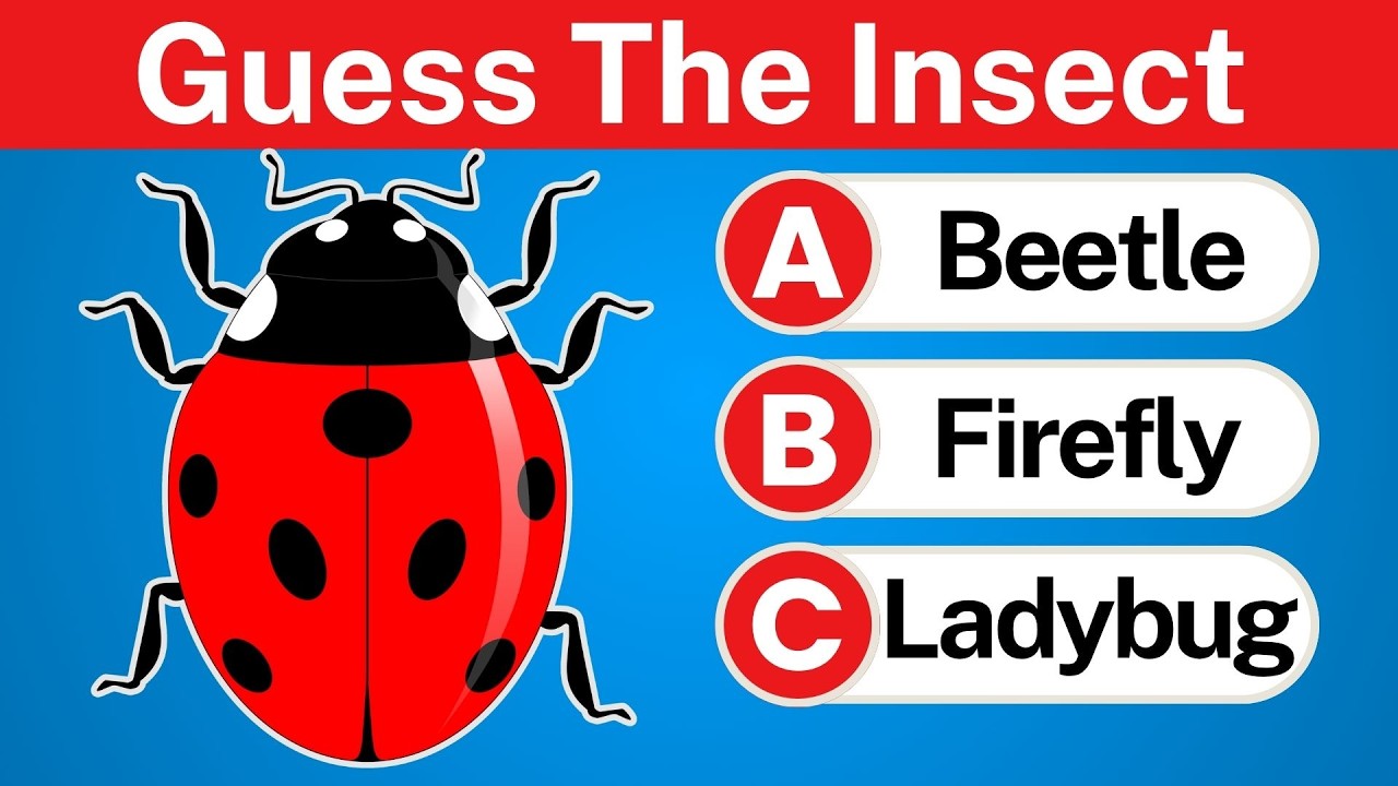 Name THAT Insect 🦗 How Many Can You Get Right?
