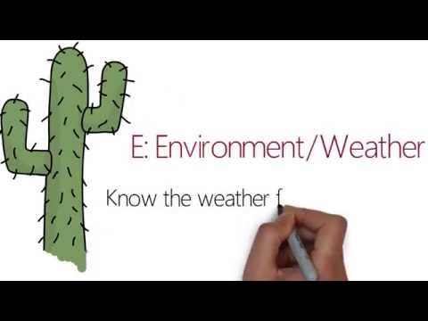 E is for Environment / Weather