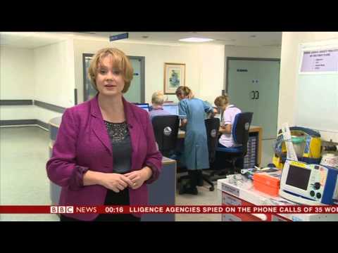 Branwen Jeffreys Wiki