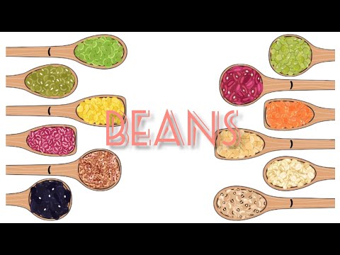 Types of beans | in english | with picture and american pronunciation