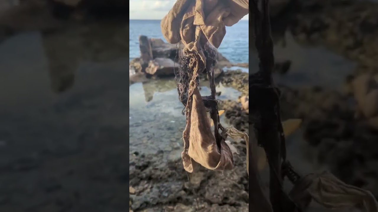 It's shocking what you can find by the ocean... #ocean #sea #marine #seas #sustainable