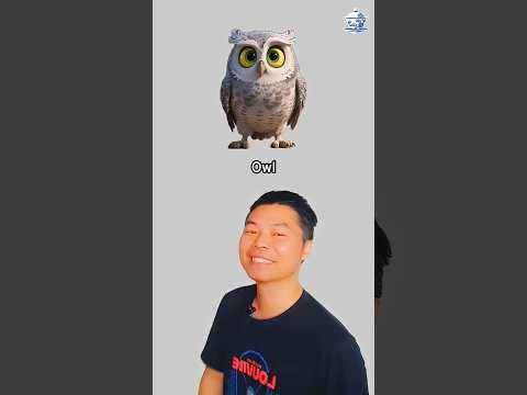 How Chinese Words Are Built — And Why You’ll Love It #chineselanguage