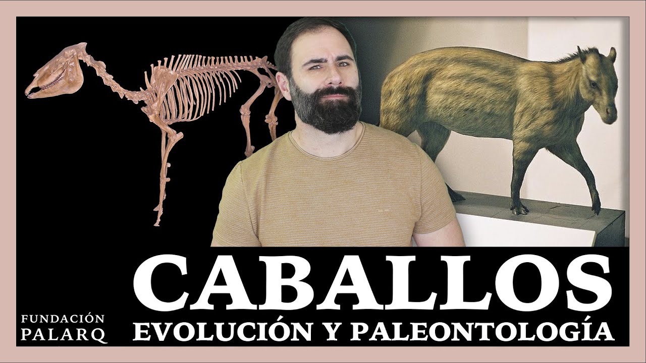 Historia Evolutiva de los Caballos: Un Viaje Paleontológico