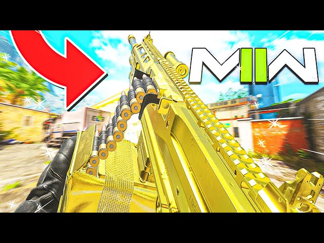 Best loadout for RAAL LMG in Modern Warfare 2