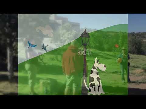 Tune in for Hound Lane: Practical Advice for Dog Behavior, Separation Anxiety & Problem Solving