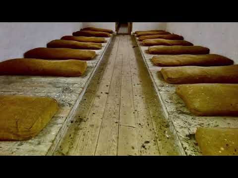 Portumna Workhouse Famine Exhibition – Small sample from our Southern ...