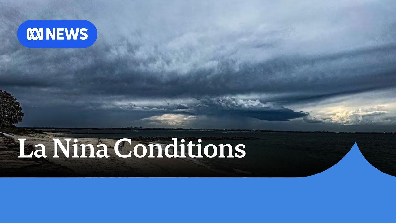 Unusual La Nina conditions making wet weather more likely | ABC News