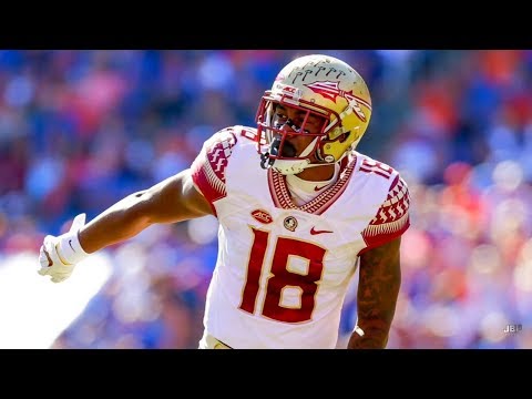 Redzone Nightmare || Florida State WR Auden Tate 2017 Highlights ᴴᴰ