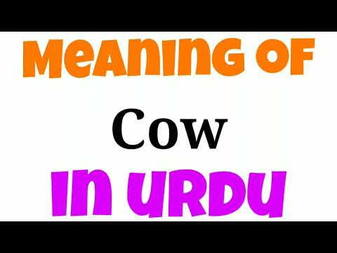 Cow ko urdu mein kya kahate hai | Cow ko urdu mein kya bolate hai | Cow meaning in urdu