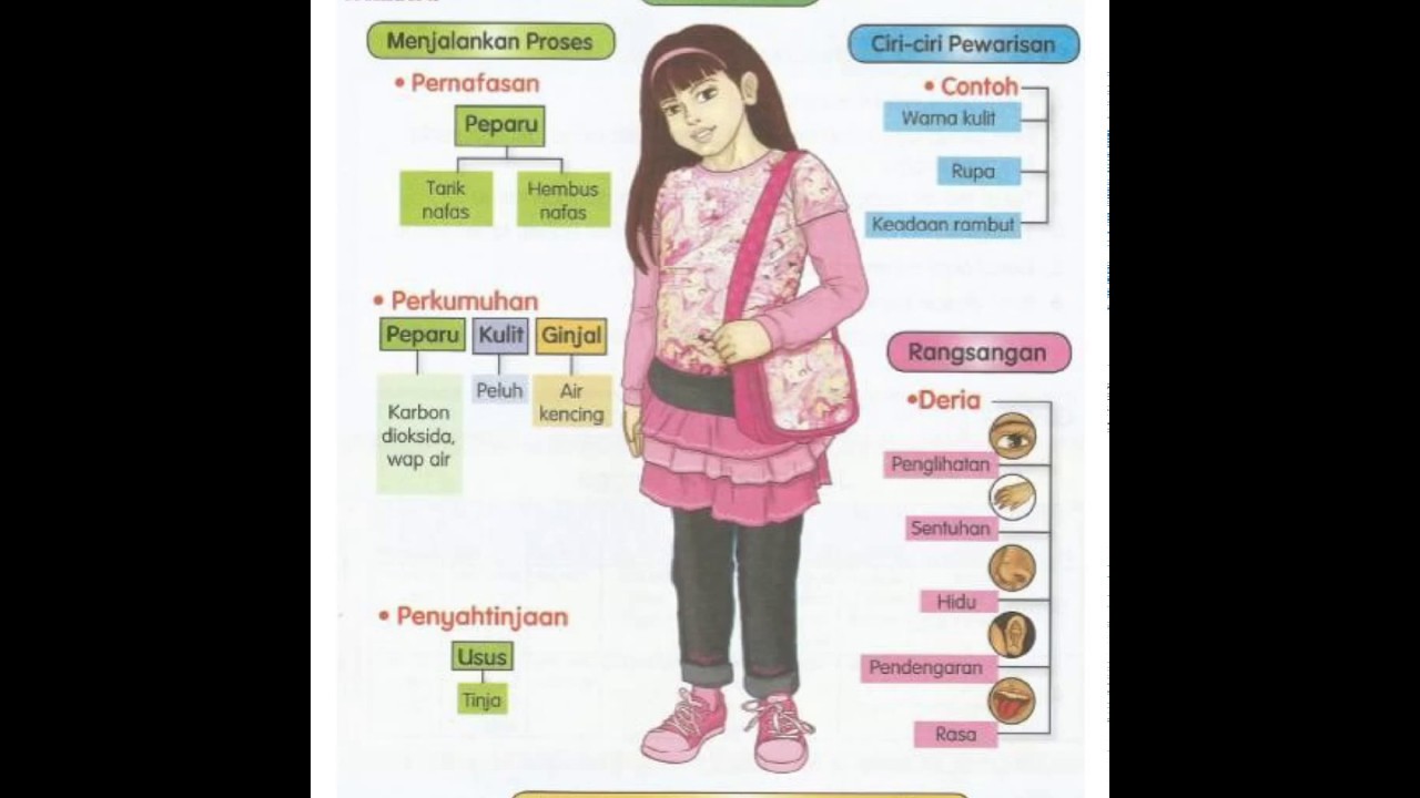Nota Ulangkaji Sains UPSR
