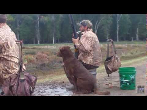 2012 UKC HRC Fall Grand | United Kennel Club