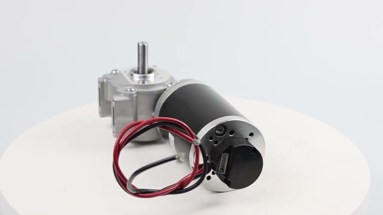 63mm brushed dc motor with worm gearbox with encoder