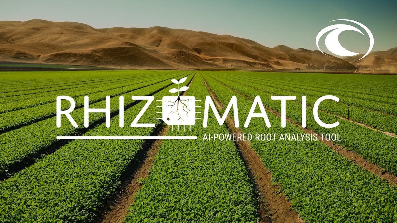 Rhizomatic | AI-Powered Root Analysis & Characterization Tool