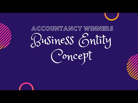 Business entity concept