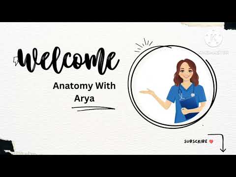 carotid triangle anatomy/anterior triangle of neck/head and neck/ with mnemonic/ in tamil