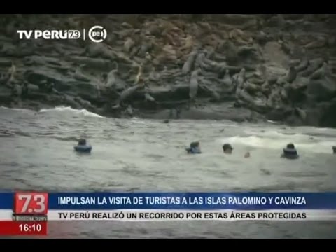 Impulsan la visita de turistas a las Islas Palomino y Cavinzas | TVPerú