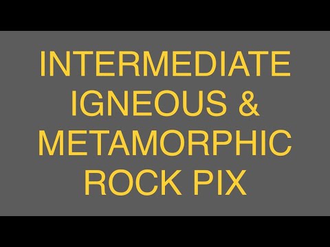 IntRxPx