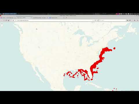 What are webmap basemaps?