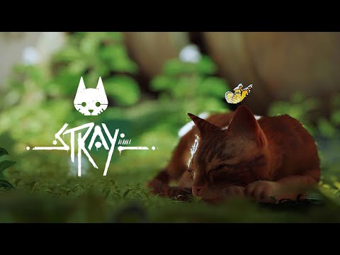 Steam Community :: Video :: 【Stray】序章 | 初始 Opening (繁體中文)
