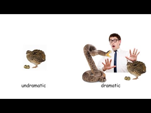 American Sign Language ASL Video Dictionary - dramatic