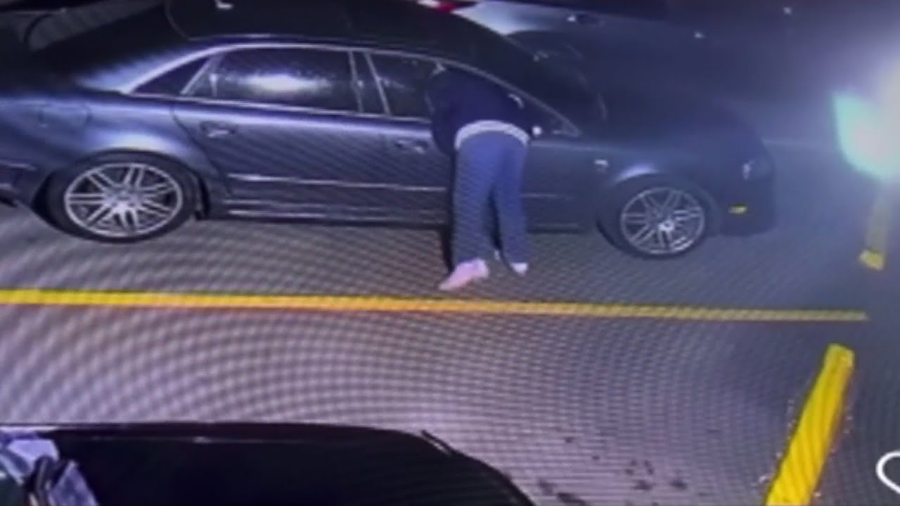 Restaurant fed up with crime invests in better security, cameras