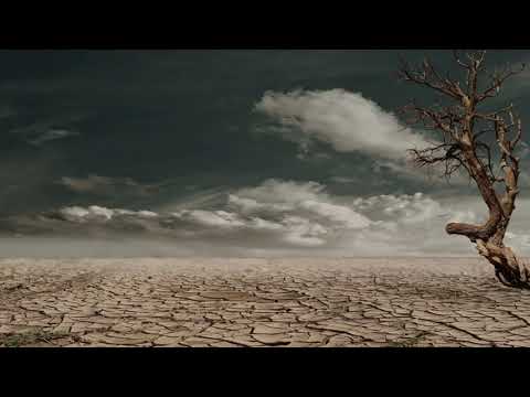 Le stress hydrique