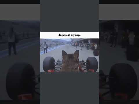 Discord Gifs In A Nutshell Clip 12 (#shorts)