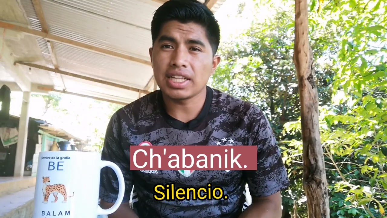 15 Frases en tseltal para docentes.