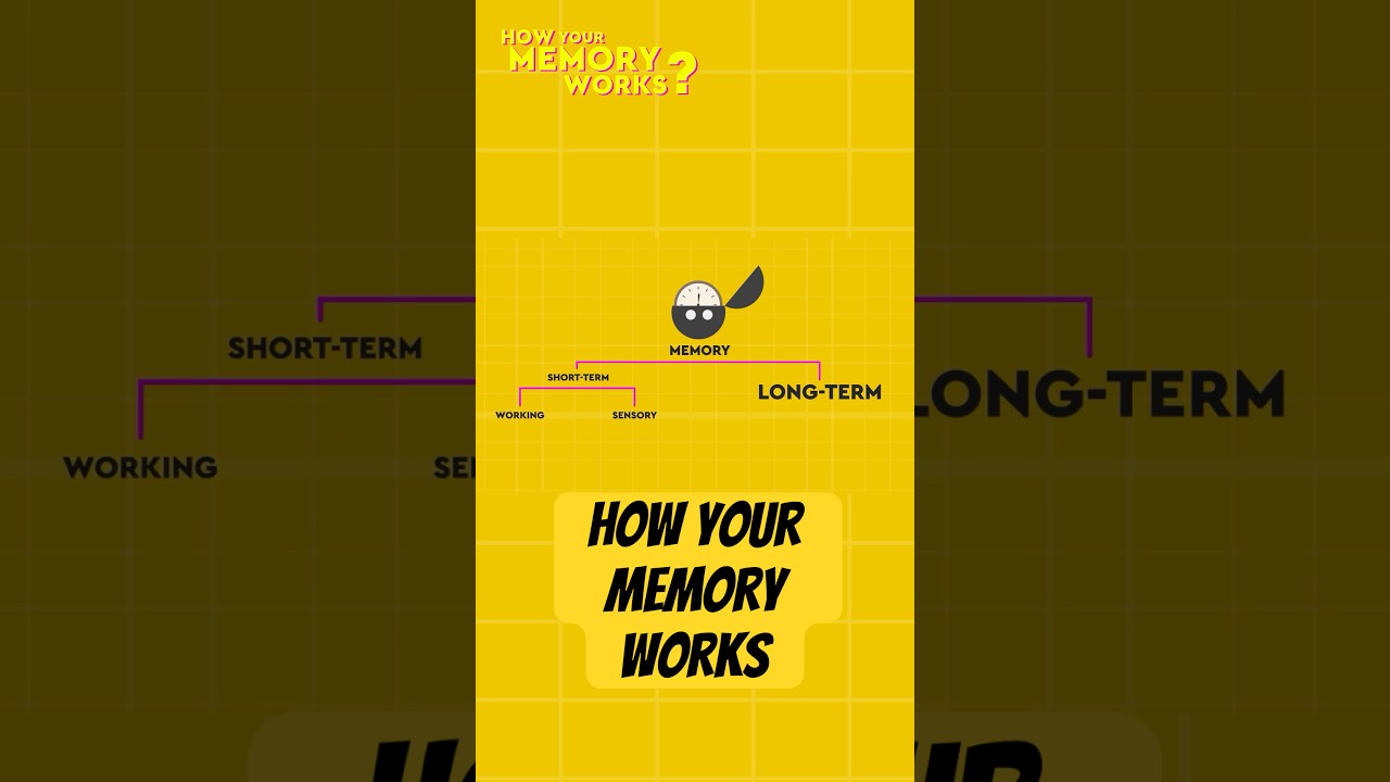 The Science of Your Terrible Memory