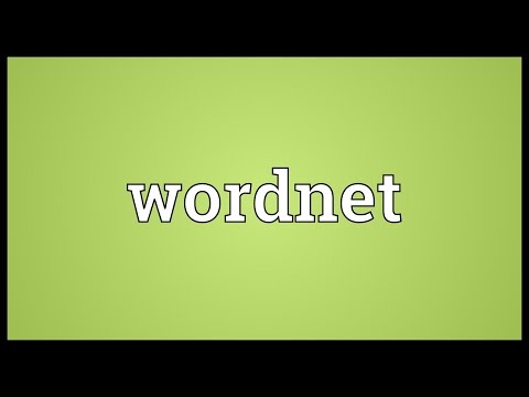 Wordnet Meaning