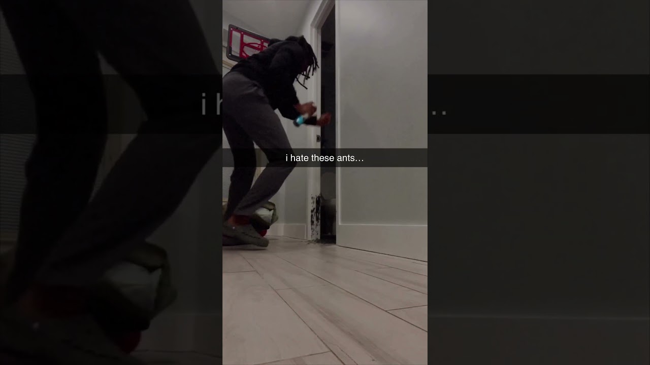 i hate these ants... #shorts