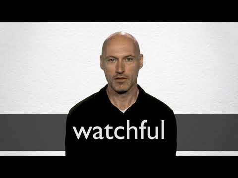 WATCHFUL definition and meaning | Collins English Dictionary