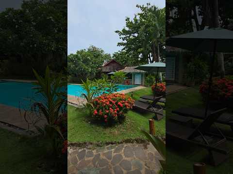 La définition de la sérénité aux Philippines #bohol