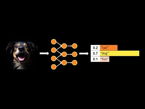 Beyond Categorical Label Representation for Image Classification