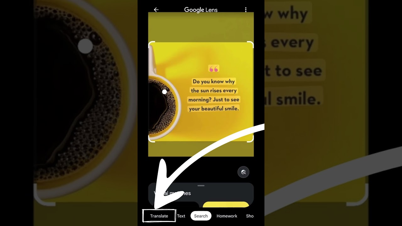 Translate Text on Images in Seconds