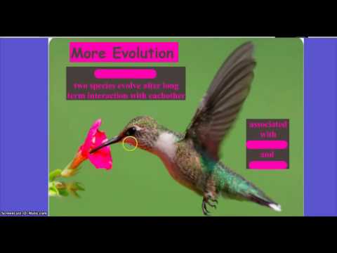 Unit 4 Evolution Pt 4 AP Environmental Science