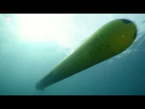 BlueWhale Autonomous Sub Is the First of a New Breed of Underwater ...