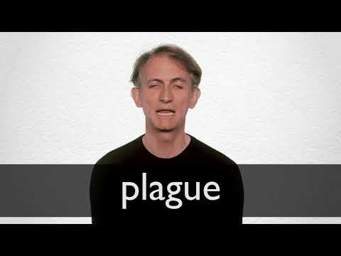 PLAGUE——含义、同义词和翻译| 柯林斯英语词典资源