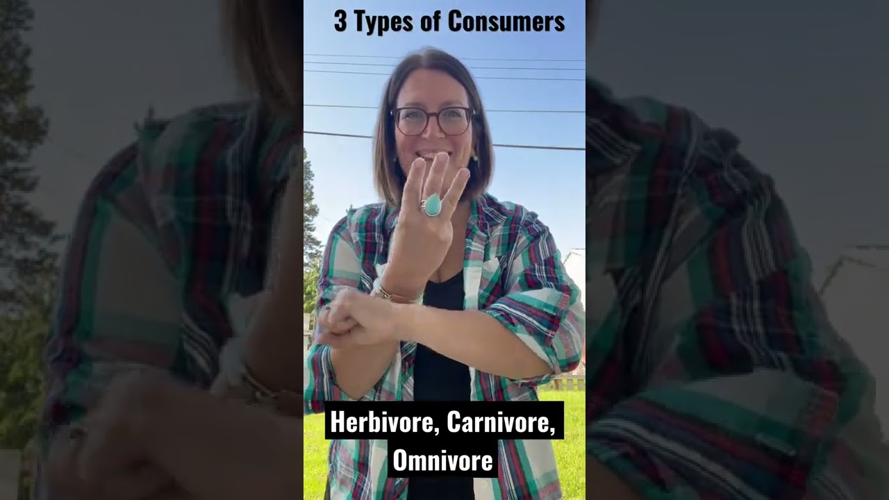 Classical Conversations Cycle 2 Week 3 Science 3 Types of Consumers