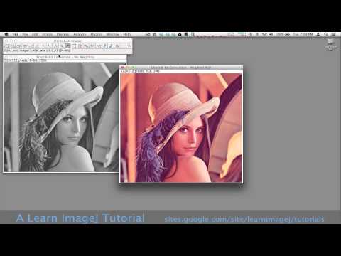 Converting RGB to Grayscale Using ImageJ