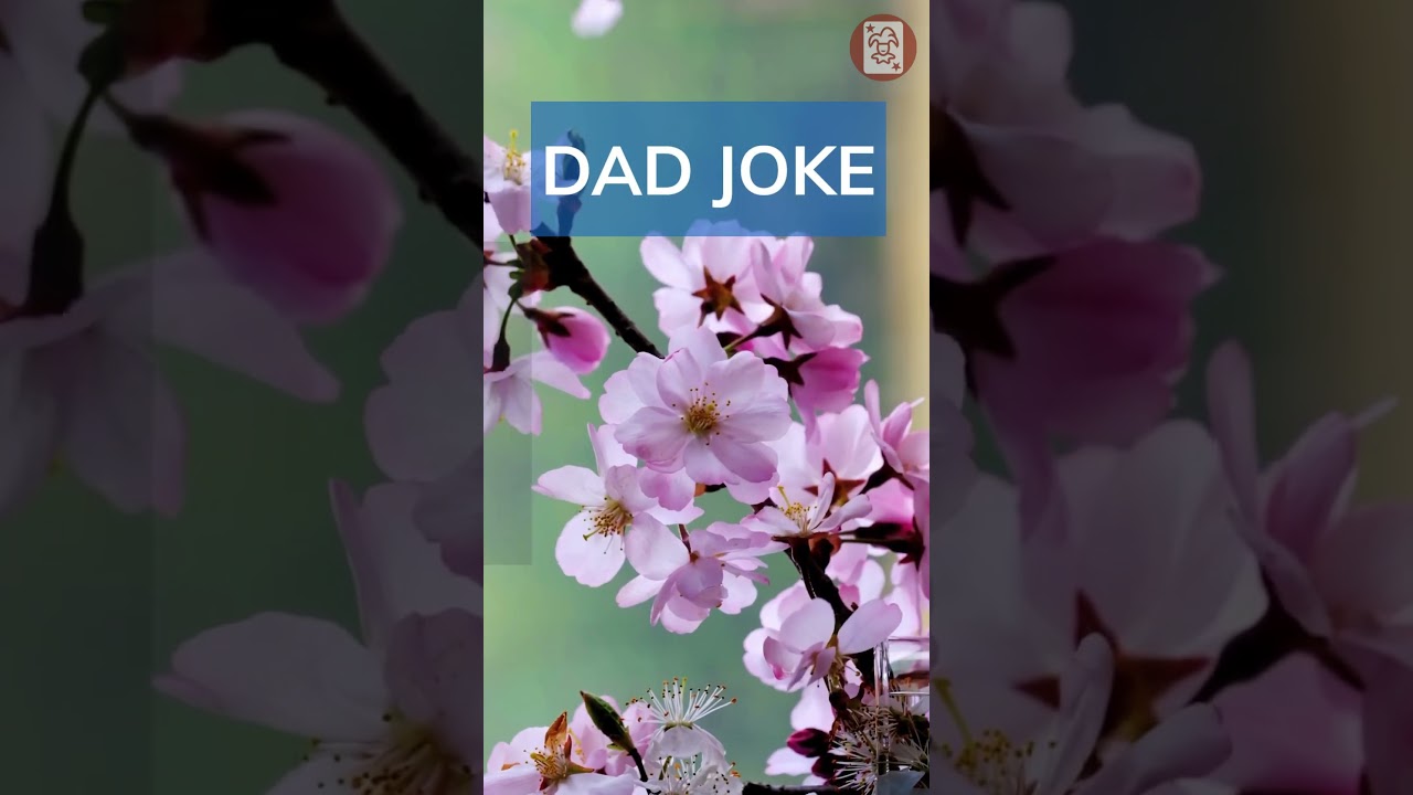 Dad Joke - let’s put a pin in it #jokes #funny #laughs #shorts