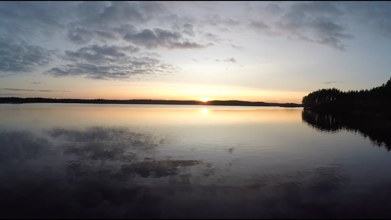 365 päivää Suomen luonnossa
