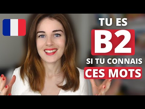 Tu as un Niveau B2 en Français si tu connais ces Mots | Vocabulaire Avancé Français