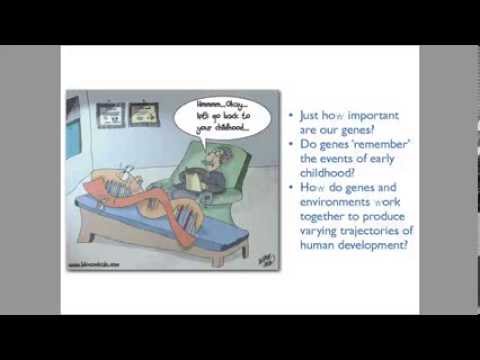 Tom Boyce: Developmental Neurogenomics and Neuroscience of Early Childhood Stress and Adversity
