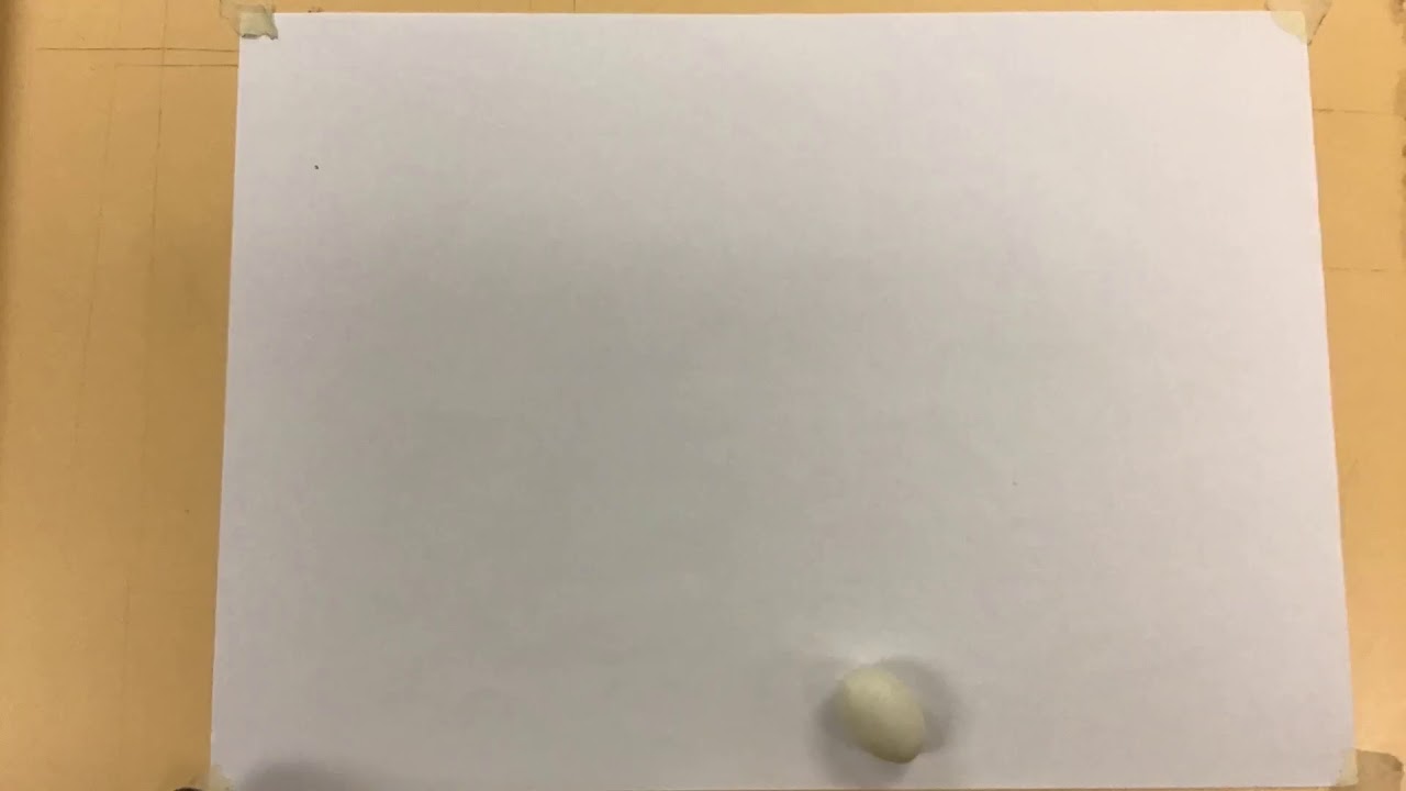 Timing-Spacing Workshop 2