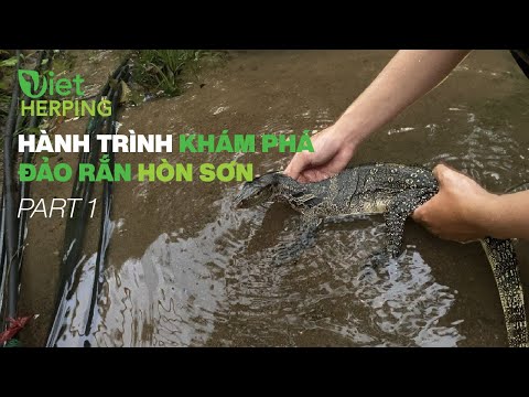 Viet Herping | Herping Tours Throughout Vietnam