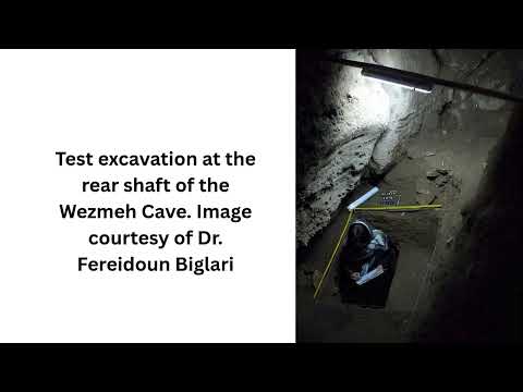Prehistoric animal remains in Iran’s Wezmeh Cave reveal Zagros biodiversity